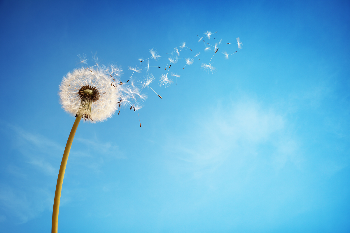 Just Dandy: Interview with Author Sandy Swenson - Cathy Taughinbaugh ...